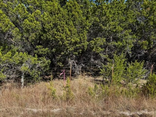LT 392 Forest Trail Drive