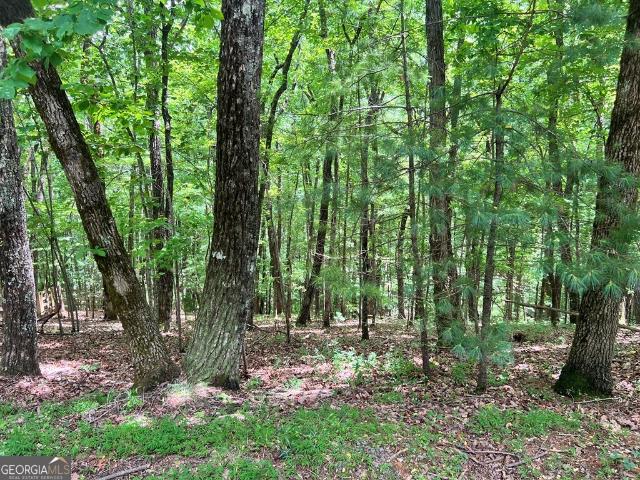 LT G667 G68 Mountain Oak Road