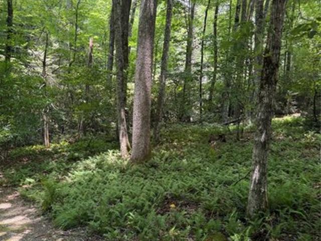 Lt 68A Maidenhaire Ln Lot 68A, Sapphire, NC 28774