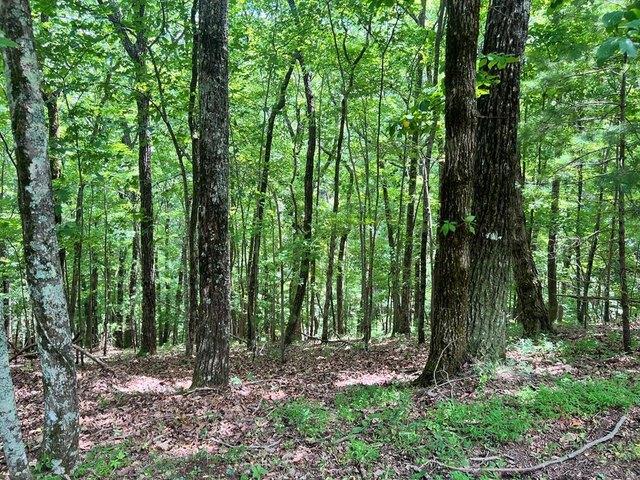 Ltg67 68 Mountain Oak Rd Lot G67 and G68, Ellijay, GA 30536