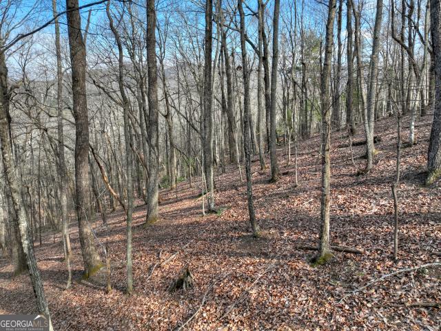 LTS 159,160 Hickory Trace