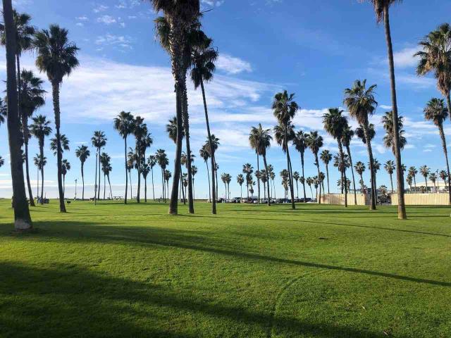 LU Mission 2 Bedroom Apartment for Rent at 2954 Mission Blvd, San Diego, CA 92109 Mission Beach
