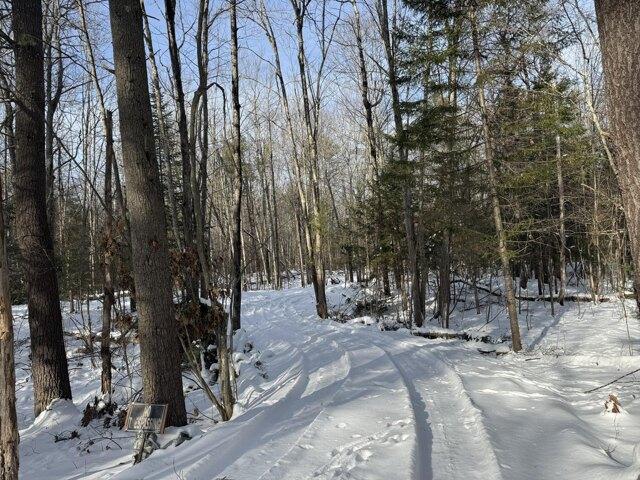 Lunts Hill Rd, Litchfield, Plot For Sale