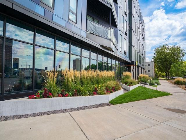 Luna Apartments Studio Apartment for Rent at 2520 S 8th St, Minneapolis, MN 55454 Cedar Riverside