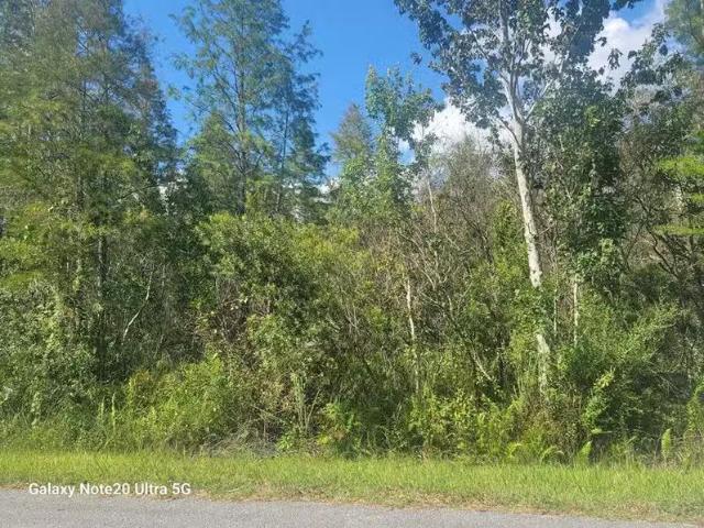 Luna Dr, Saint Cloud, FL 34773 MLS O6139475