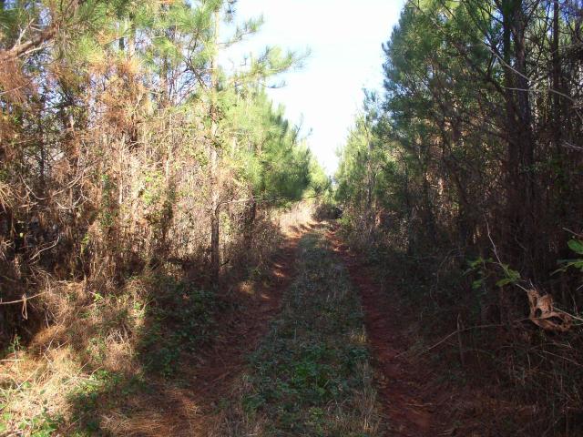 Luna Road, Warrenton NC 27589