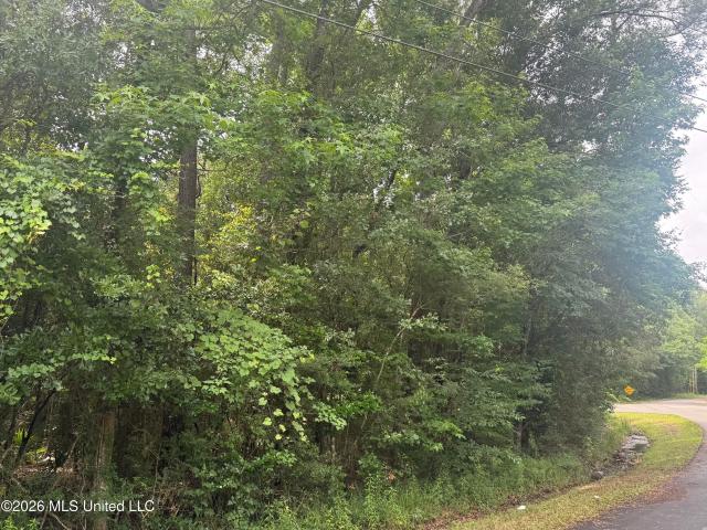 Lundy Williams Road, Moss Point, MS 39562
