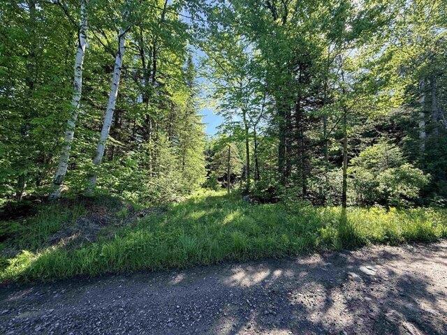 Lunenburg VT 05906 104566830