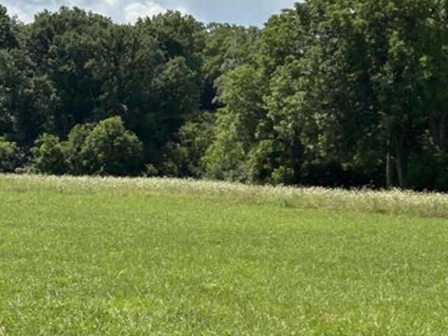 Lucy Ln, Cynthiana, KY 41031