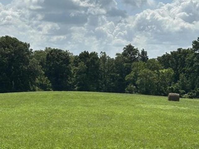 Lucy Ln Lot 2, Cynthiana, KY 41031