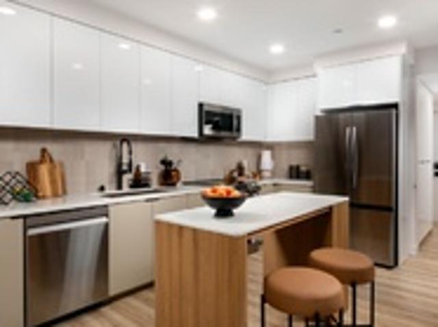 LUCA Next Level Co Living in the Heart of LA