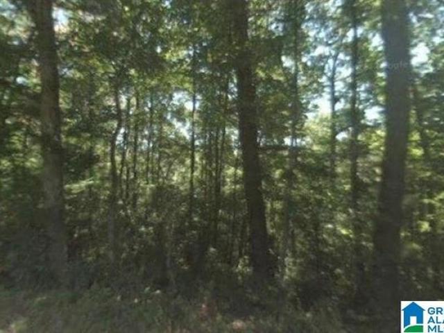 Lucas Ln Lot 1, Hayden, AL 35079