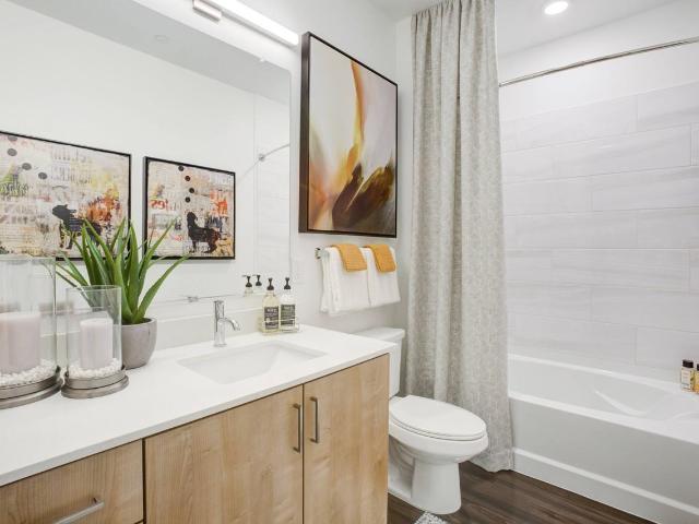 Lucent Scottsdale 1 Bedroom Apartment for Rent at 2001 N Scottsdale Rd, Scottsdale, AZ 85257