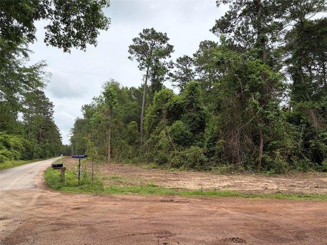 Lucher, Willis, TX 77378