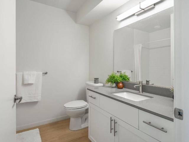 LUCILLE ON ROOSEVELT 1 Bedroom Apartment for Rent at 6717 Roosevelt Way Ne, Seattle, WA 98115 Roosevelt