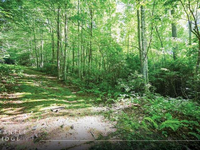Luckies Way Lot 5, Cashiers, NC 28717