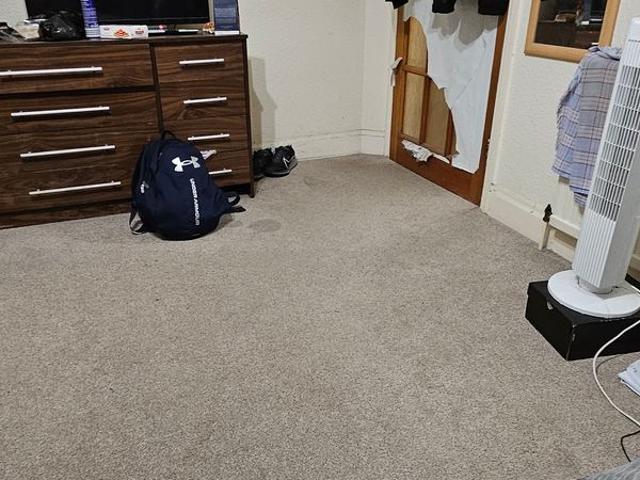 Lucky Has a House