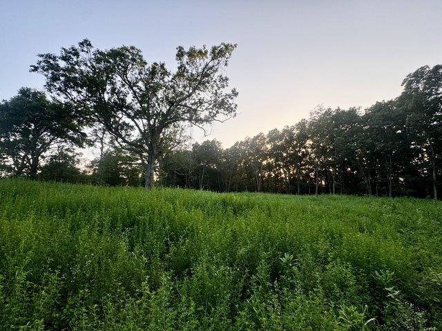 Lucky Rd, Seymour, MO 65746
