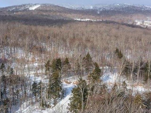 Ludlow VT 05149 104869586