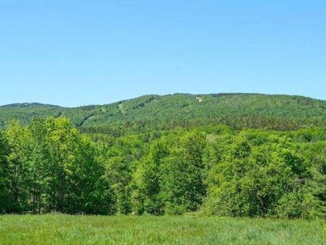 Ludlow VT 05149 103125425
