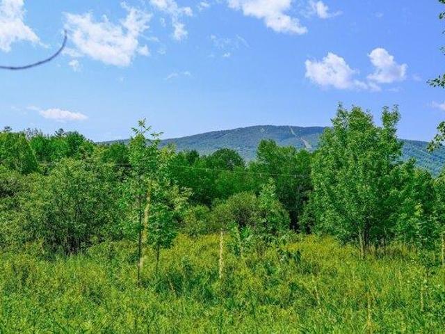 Ludlow VT 05149 103125910