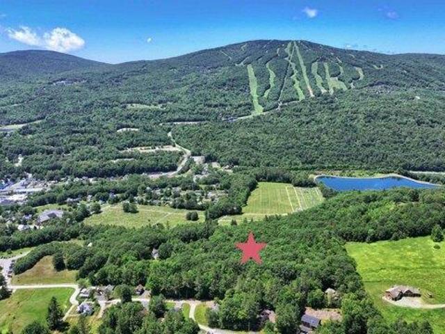 Ludlow VT 05149 LS101628515