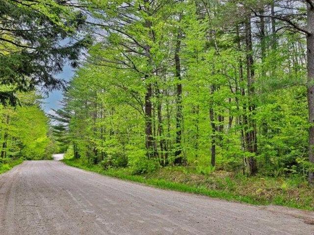 Ludlow VT 05149 LS102214324
