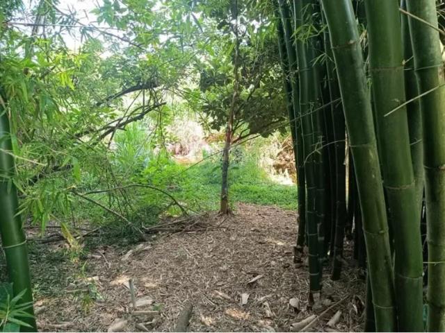 Lugar aprazível, tranquilo em vargem grande teresópolis rj