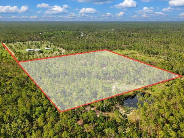 Lukayce Ln, Steinhatchee, FL 32359