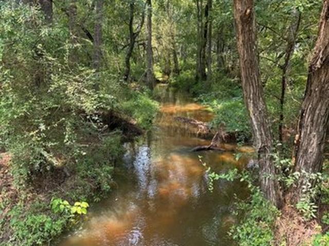 Luke Rd Lot 2, Ashburn, GA 31714