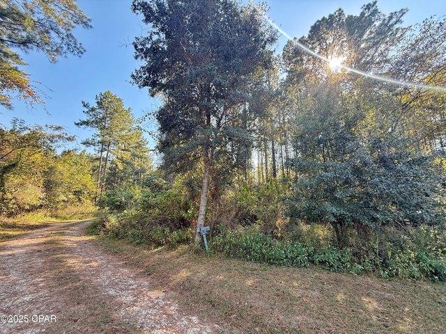 Lure Ln, Sneads, FL 32460