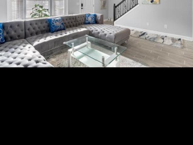 Luxurious oasis