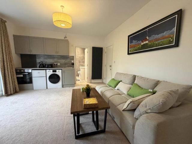 Luxury 1 bed flat to let in bishop avenue balcony