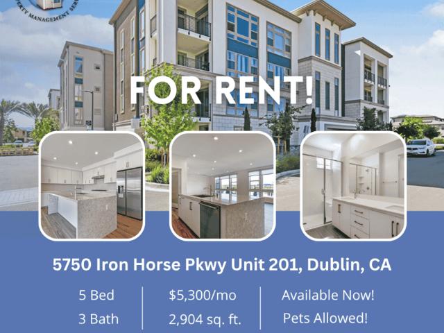 Luxury 5 bedroom, 3 bathroom, 2,904 sq. ft. Condo