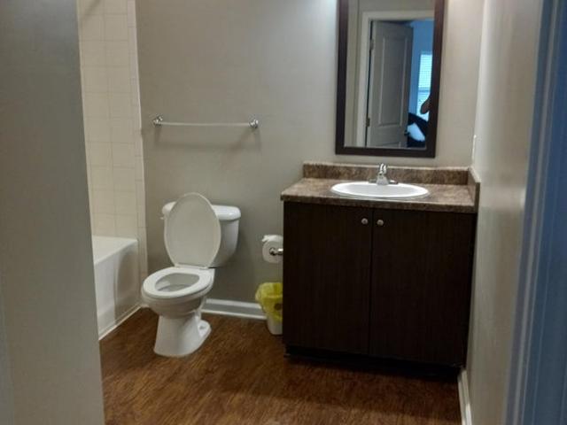 Luxury Aartment room for rent