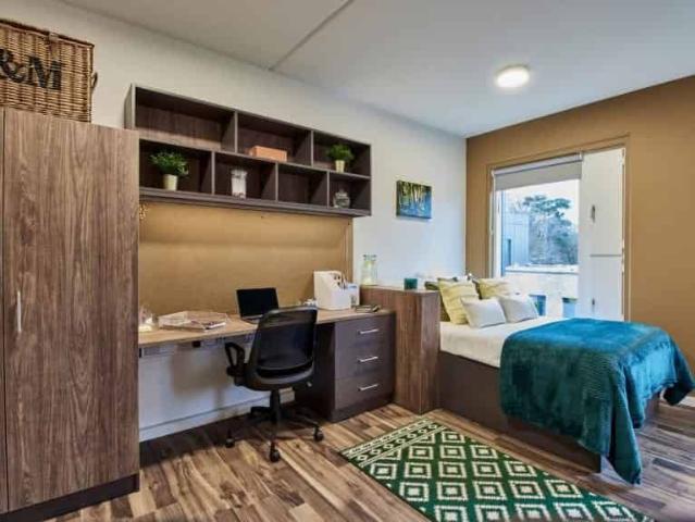 Luxury Adaptable Studio
