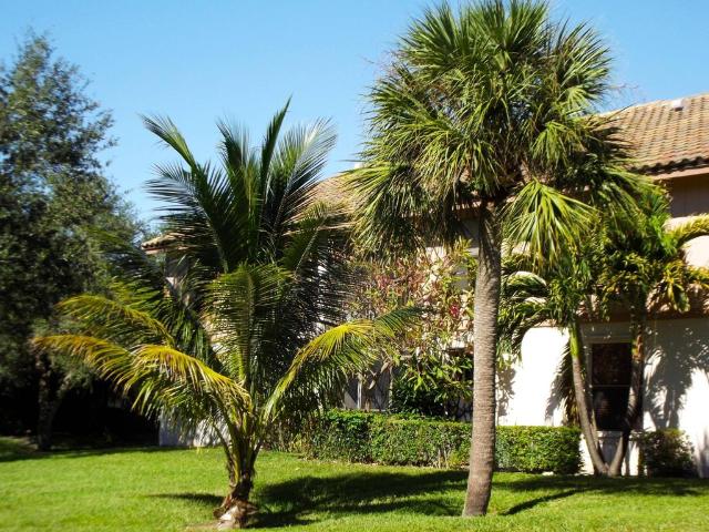 Luxury apartment complex for rent in Boca Raton, United States