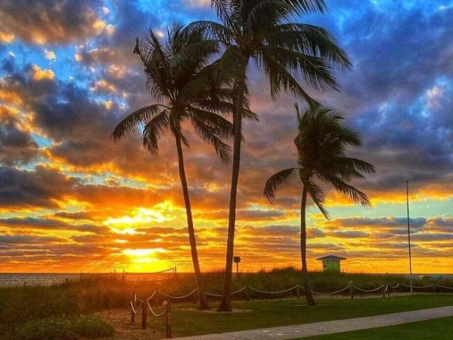 Luxury apartment complex for rent in Boca Raton, Florida