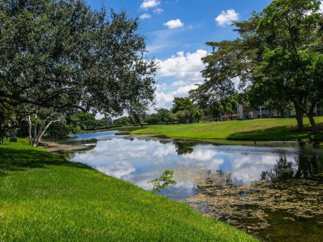 Luxury apartment complex for rent in Davie, United States