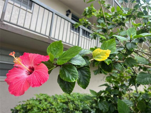 Luxury apartment complex for rent in Plantation, United States