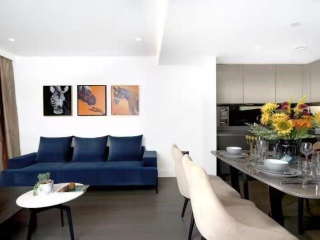 Luxury Apartment with New Year Fireworks