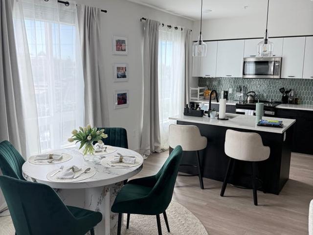 Luxury Apartment