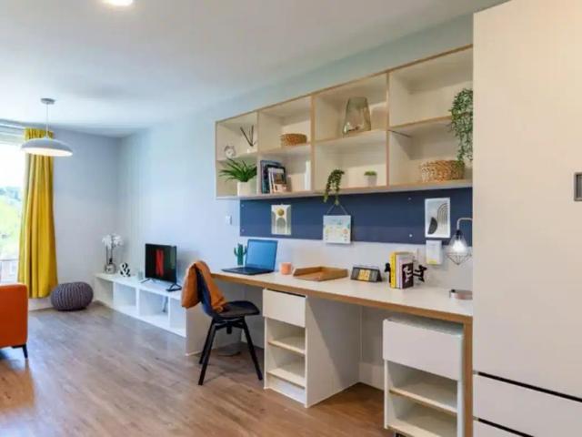 Luxury Gold Studio
