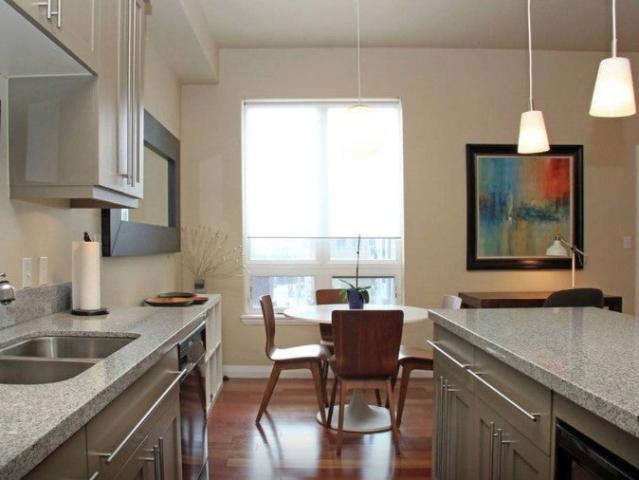 Luxury Downtown Fully Furnished Condo
