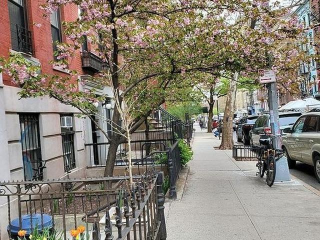 Luxury Flat for rent in New York