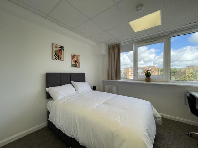 Luxury furnished studio | All Bills Included