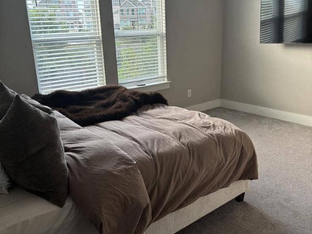 Luxury King Suite|Allen