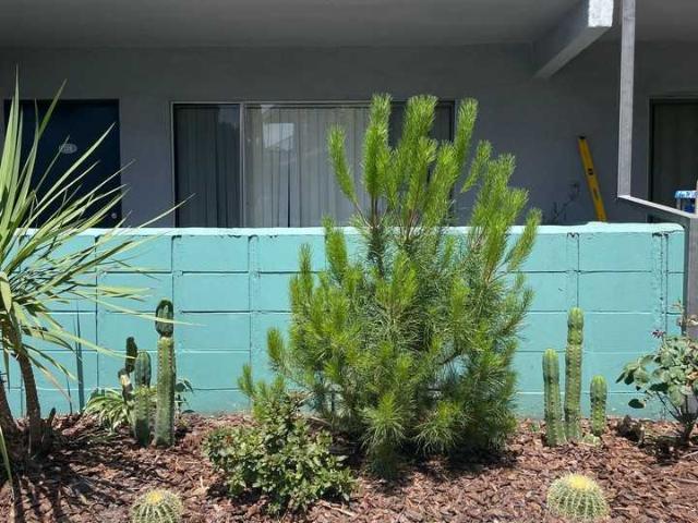 LUXURY LIVING AT AN AFFORDABLE PRICE 2 Bedroom Apartment for Rent at 10751 Rose Ave, Los Angeles, CA 90034 Mar Vista
