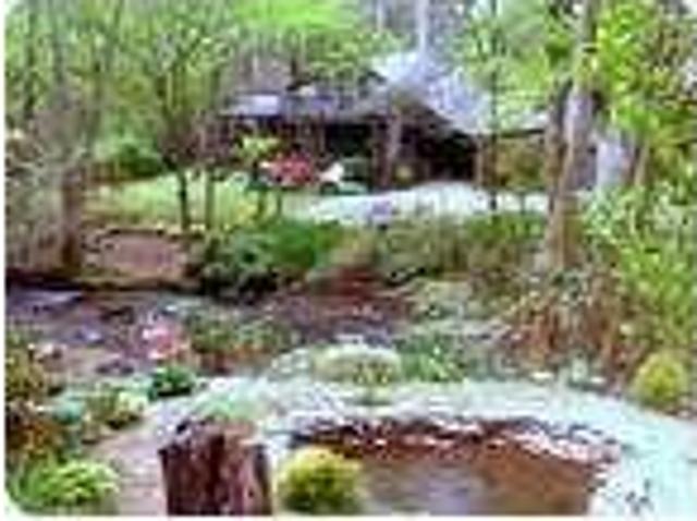 Luxury Mountain Cabin Waterfall and River in front Robbinsville, NC