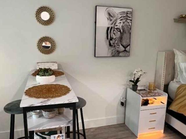 Luxury Meets Walkable Downtown Royal Oak 1 Bedroom Apartment for Rent at 1100 S Main St, Royal Oak, MI 48067